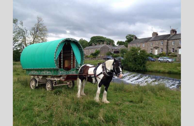 Gypsy blood | Brae. A gay woman's tale!